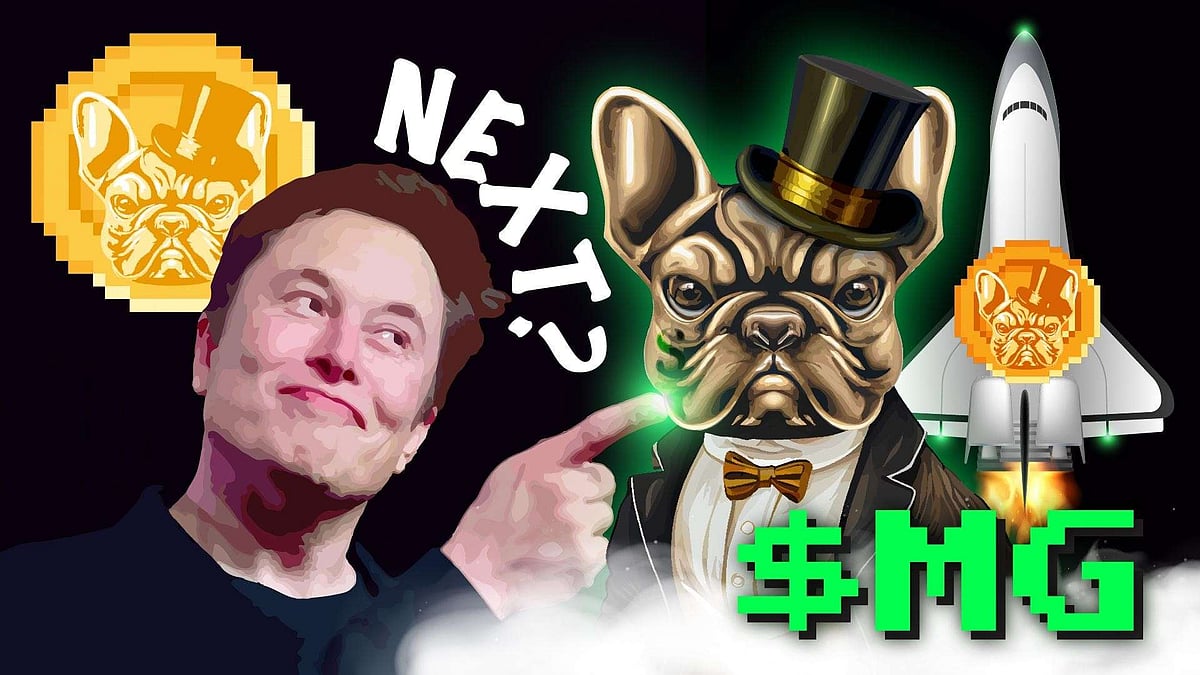 Elon Musk’s “Scam Crypto” Alerts: 4 Tips to Separate Good Meme Coins ...