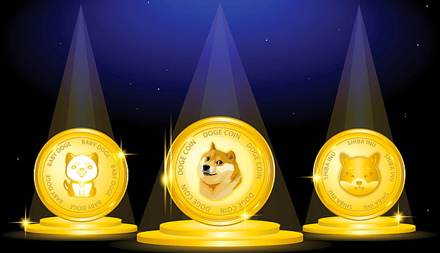 Shiba Inu and Baby Doge Coin Whales Crown a New Memecoin as the Next ...