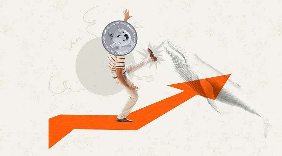 Whales are Stacking Up Shiba Inu Amid the Price Surge