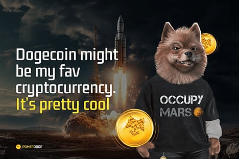 Shiba Inu Surges While Dogecoin Diamond Hands Relax: Pomerdoge's Price ...