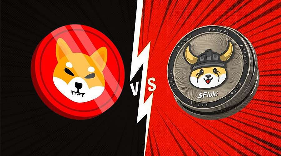 Shiba Inu vs Floki: Which Meme Coin to Invest in July 2023?