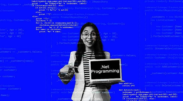 What Is Dot Net Programming