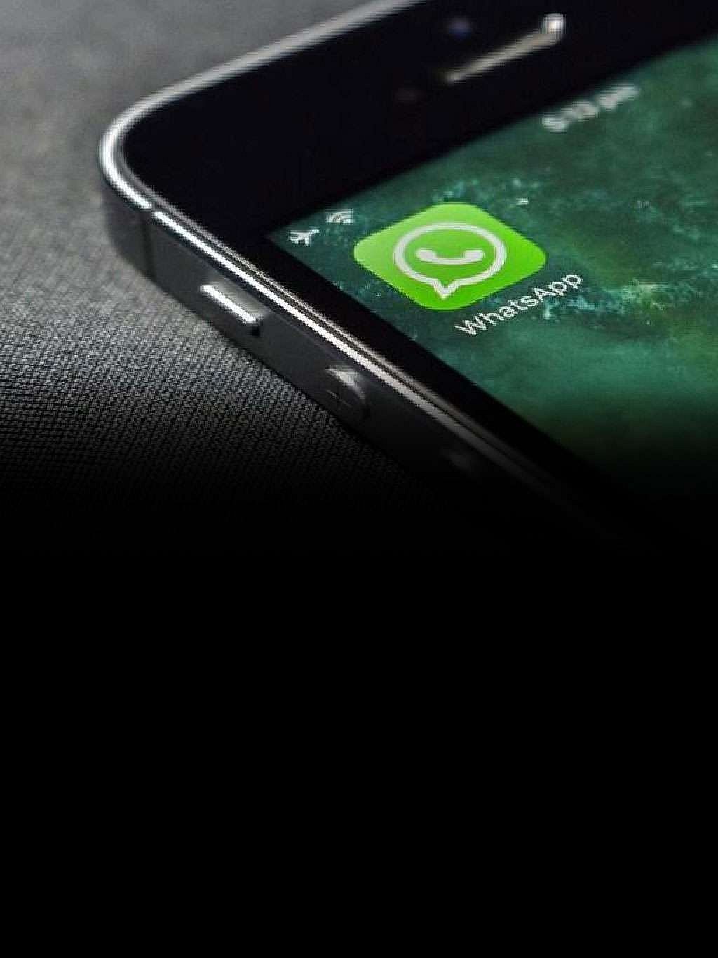 WhatsApp has begun to roll out an updated sticker and GIF selector