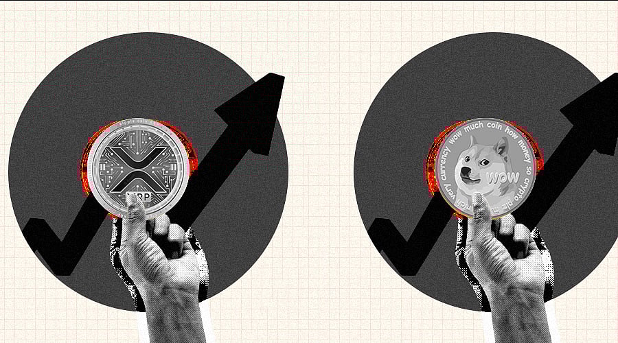 XRP vs Shiba Inu: Which Cryptocurrency to Buy