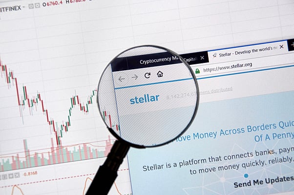 Beginners Best Bet: Stellar’s Stability or $DOMI's 10x Potential