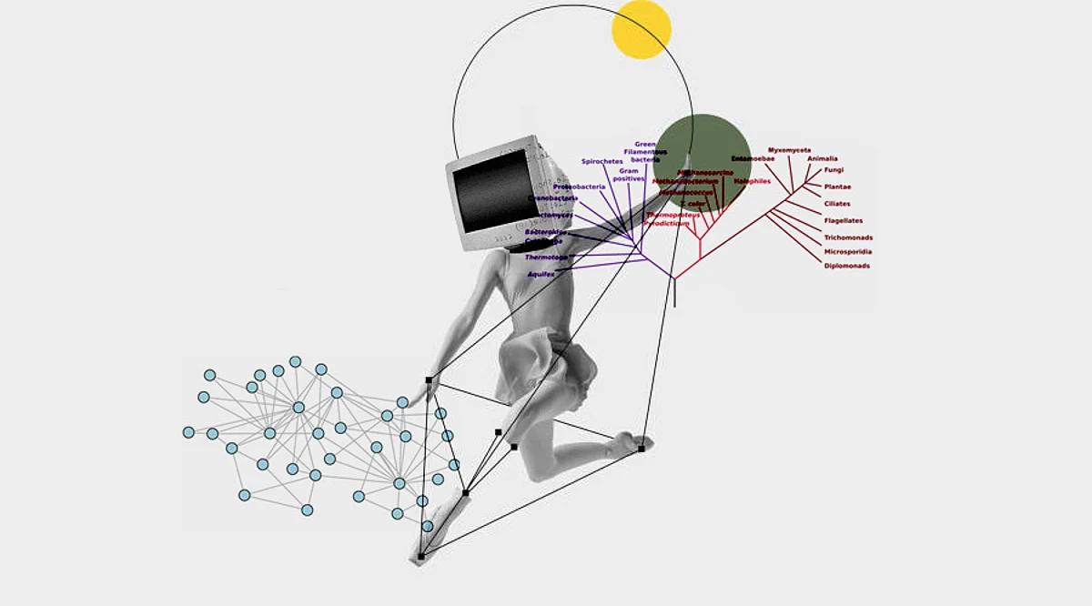 Geometric Deep Learning Explained