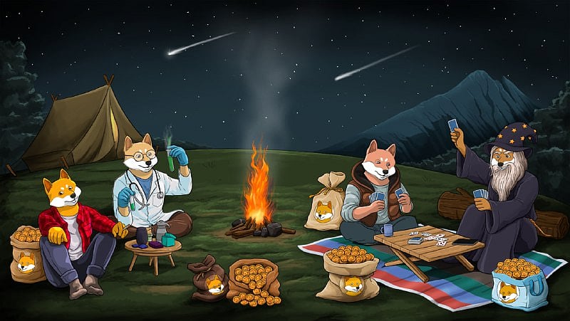 Dubai Shiba Inu Millionaire: What could have been