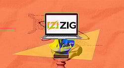 Zig: Your Next Programming Language