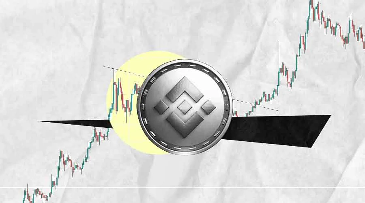 Binance Coin: Unpacking the Success of BNB Crypto Binance Coin: Unpacking the Success of BNB Crypto