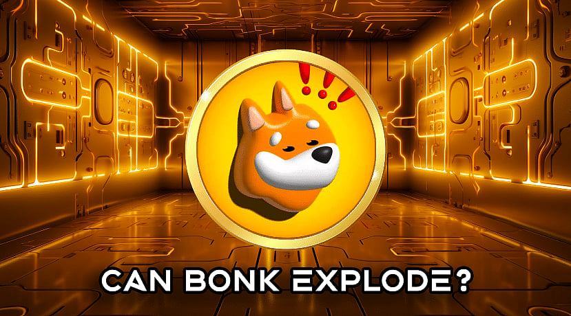 Can Bonk Coin Explode? Bonk Coin explained, and other Top New Meme Coins before the Crypto Bull Run