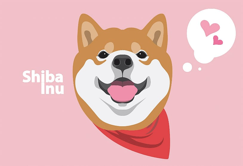 Bonk to Surge Despite Recent Correction Analyzed by Pentoshi – Shiba ...