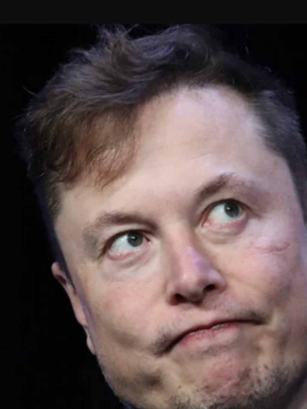 X Employees Reject Elon Musk's Bonus and Resign