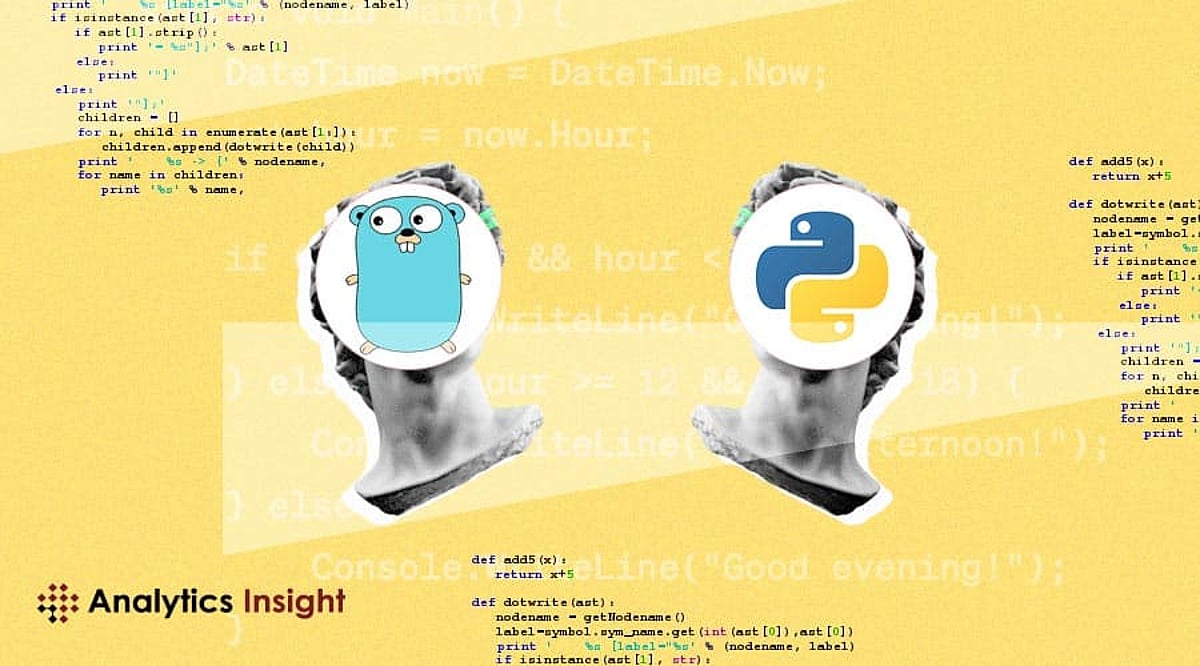 Golang Vs Python Which Language Should You Learn In 2024