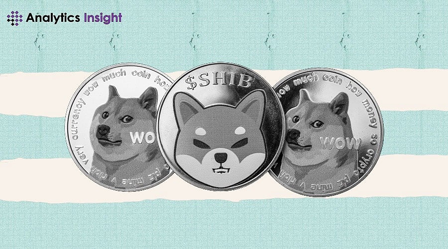 How to Stake MemeCoins and Earn Passive Income