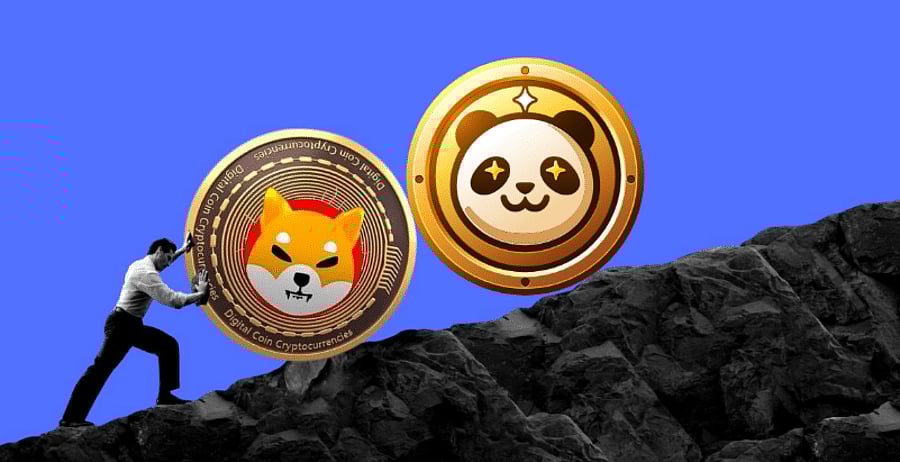 5 Reasons Pandoshi (PAMBO) May Surpass Shiba Inu (SHIB) in Performance