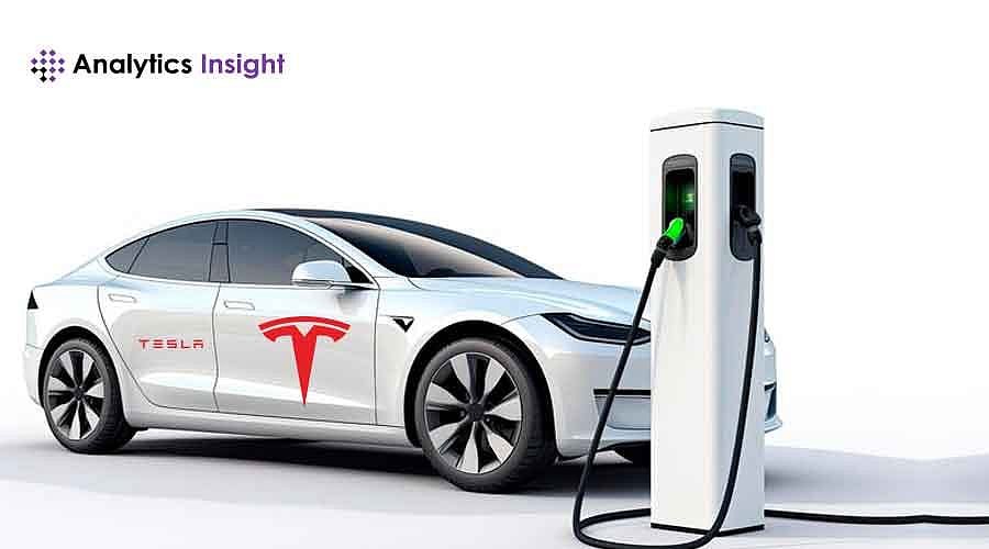Tesla Has a New Competitor in EV Sector?