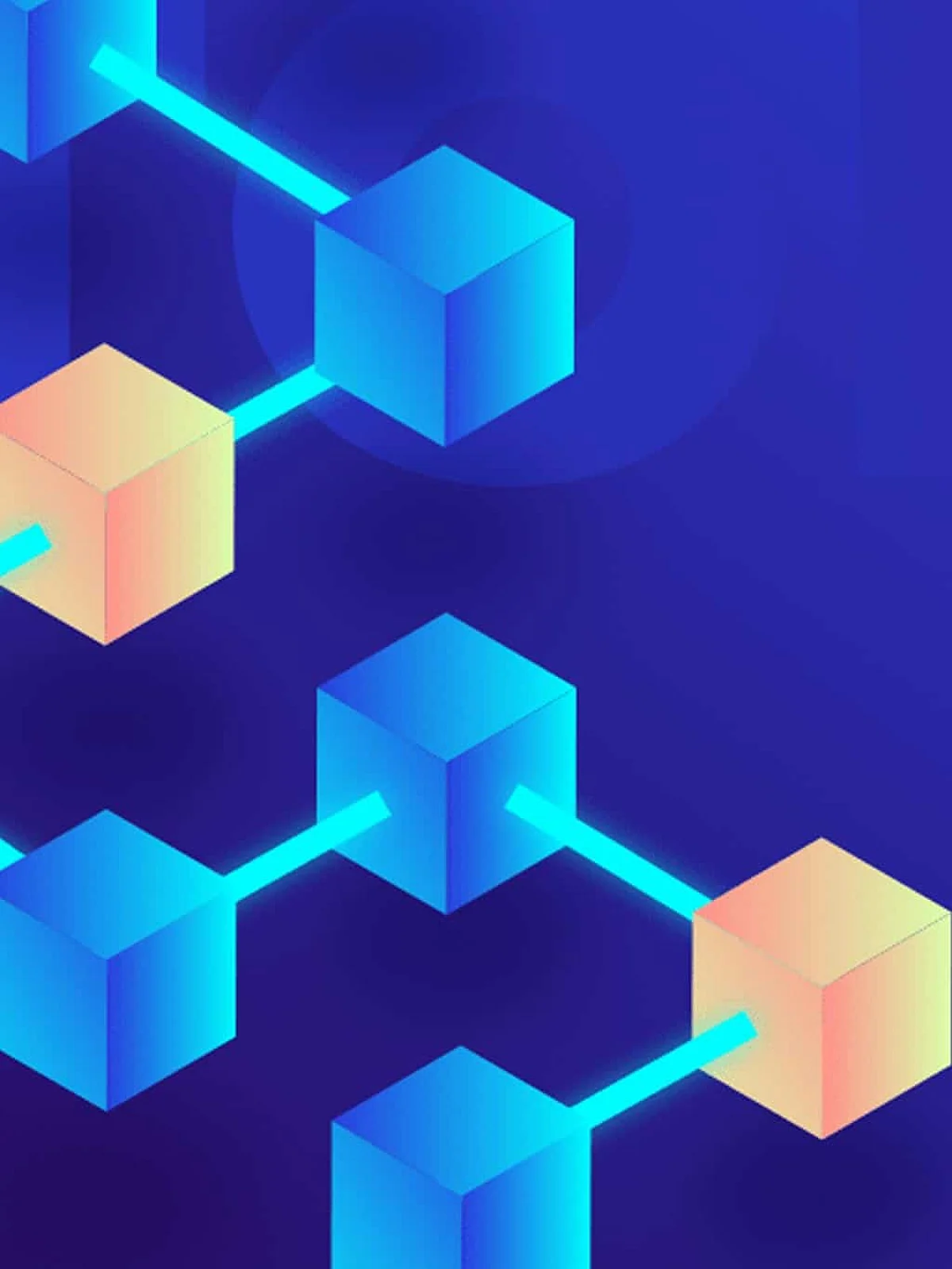 Top 5 Programming Languages For Blockchain Engineers
