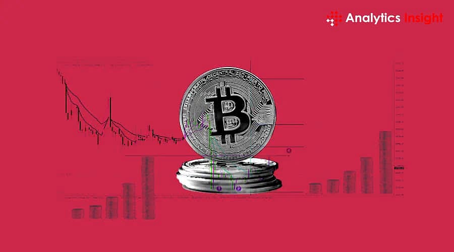 Crypto Price Today: BTC's Steady Rise; Top Altcoin Performers