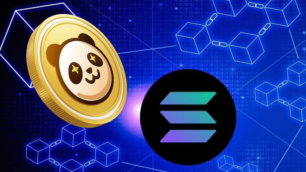 3 Reasons Why Solana and Pandoshi are the Leading Cryptos In 2024