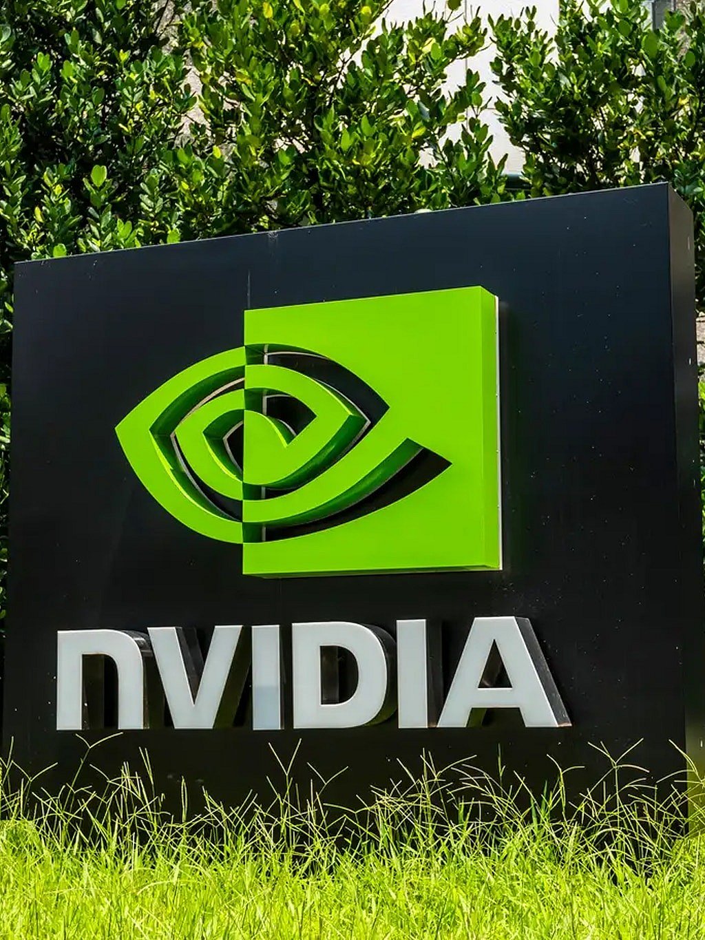 Nvidia's Profits Soar: $12.3B Boosted by AI Demand