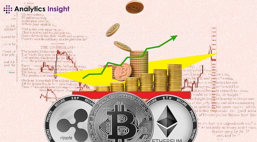 Role of Crypto Insurance in Mitigating Risk for Investors