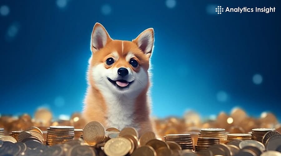 Shiba Inu Price Update: 375% Surge in Network Activity