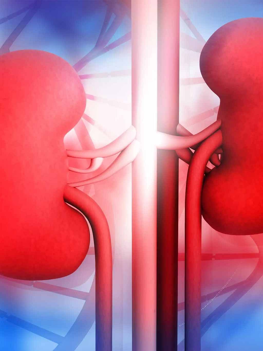 AI Mobile App: State's Kidney Disease Screening