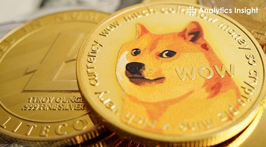 Dogecoin (DOGE) Price Up: +20% - Time to Buy?