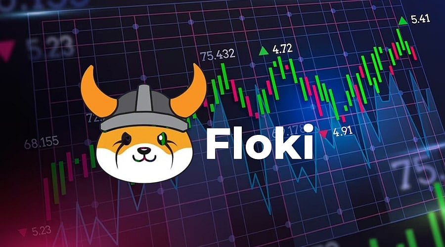Floki Surges Over 300% As Meme Coin Mania Returns