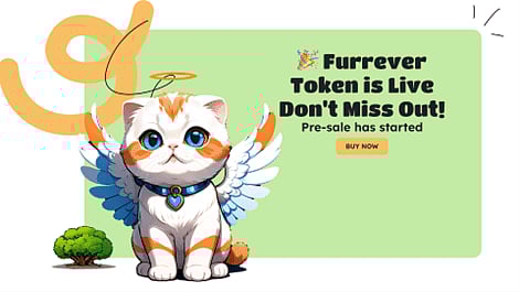 Solana (SOL) and Book of Meme (BOME) Face Dips as Furrever Token (FURR ...