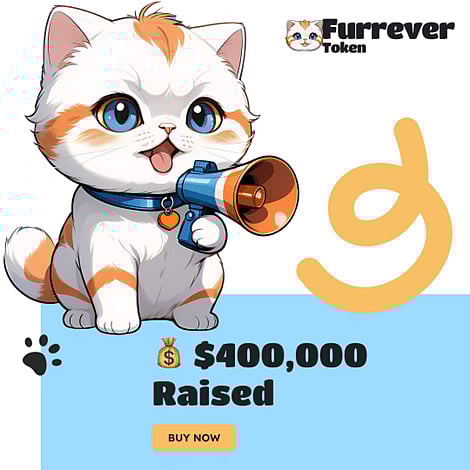 Bonk (BONK) Up by 6%, FLOKI (FLOKI) Surges 35%, and Furrever Token (FURR) Nears Completion of ...