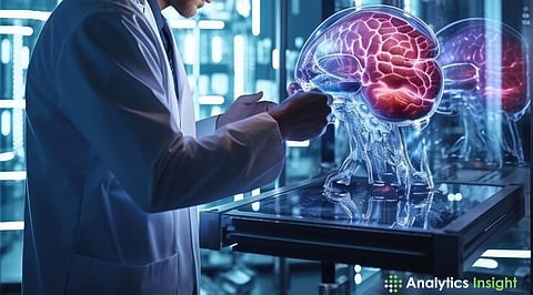 Brain Structure Analysis