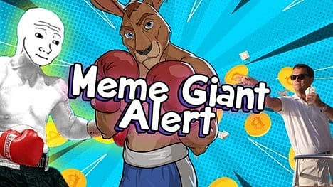 New Meme Coin Price Pumping, Can It Take Floki’s Spot As Top Meme Coin ...