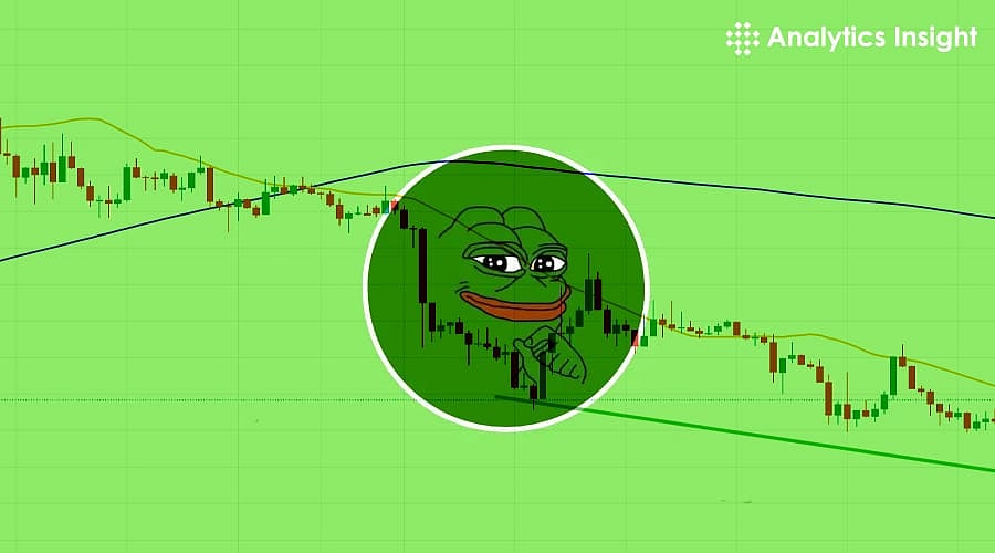 Pepe Coin Surges Exploring Factors Behind the Surge