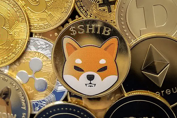 Trending Dogecoin (DOGE) and Shiba Inu (SHIB) Furry Rival Arrives Koala ...