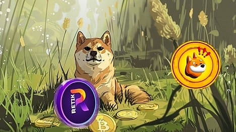 $500 In Dogecoin (DOGE), Bonk (BONK), And Retik Finance (RETIK)—Can It ...