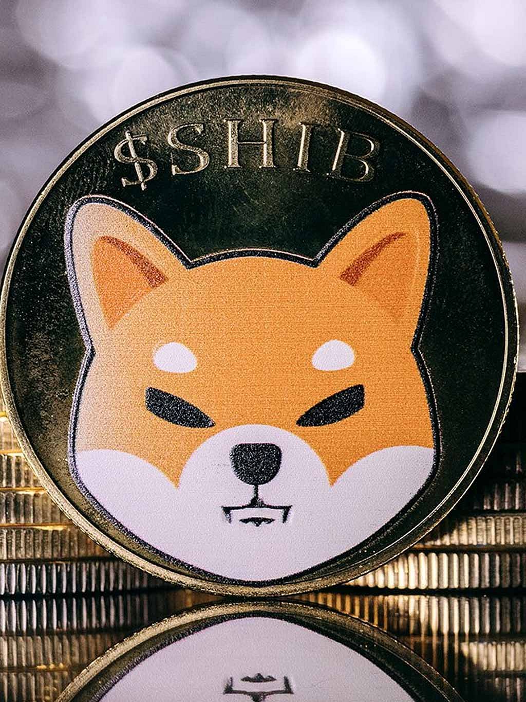 Shiba Inu Surges Amid Market Rally and ETF Hype