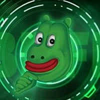 FLOKI Inu Coin Whales Flocking to the Latest MEME Coin Craze