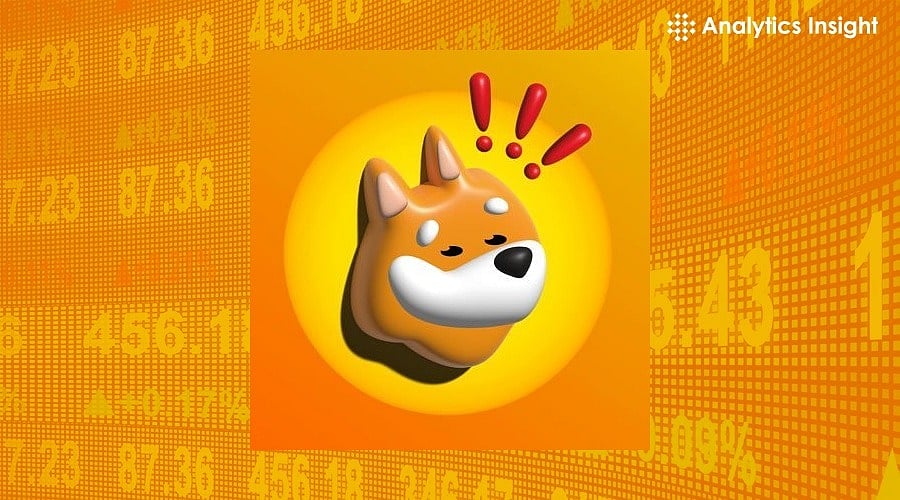 Bonk Cryptocurrency is Gaining Traction, But Why?