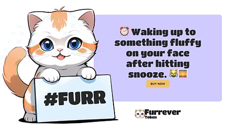 Furrever Token (FURR)'s High ROI Prospects Shake Up Ethereum (ETH) and ...