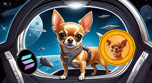 Could Hump Token (HUMP) Reignite Meme Coin Craze? New Solana Meme Token ...