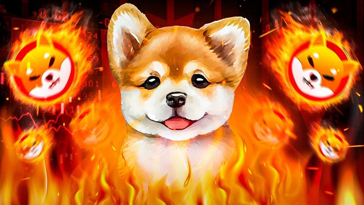 BONK vs PEPE: Bonk Investors Expand Profits Into Pepecoin & BUDZ Here's Why