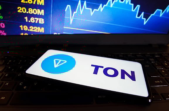 Top Cryptocurrencies Gaining In Popularity 2024