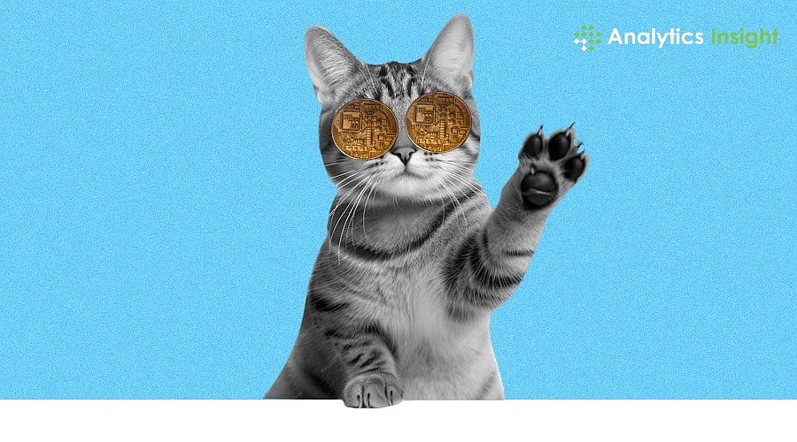 What Makes Cat Coins A Befitting Part Of Cryptocurrency?