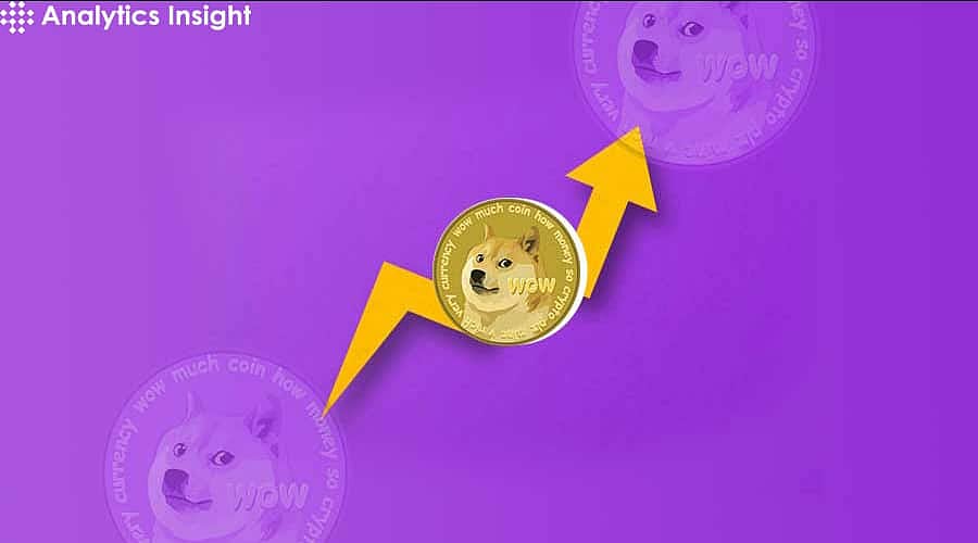 DOGE Stabilizes On Crucial Support. Is the Meme Coin Primed for a Comeback?