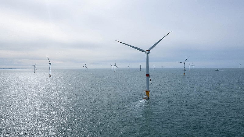 FEATURE | Trump's anti-wind stance exposes the weaknesses in ...