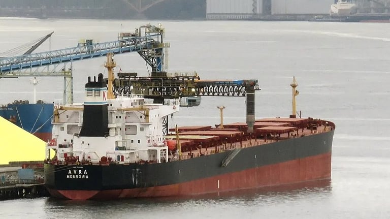 Swedish, Finnish, German and Danish authorities board Chinese ship Yi ...
