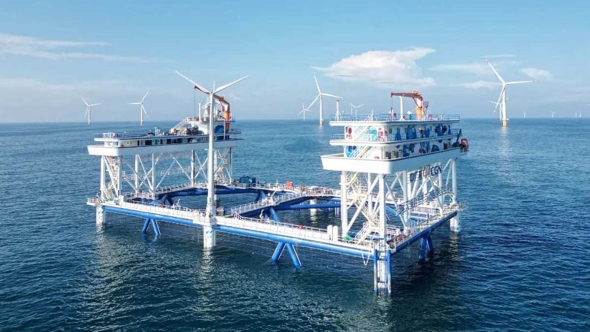 VESSEL REVIEW | Fuxi No 1 – Wind-powered fish farm to be deployed in ...