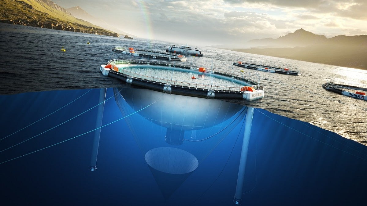 ScaleAQ sells first closed sea cage system to Norwegian fish farmer