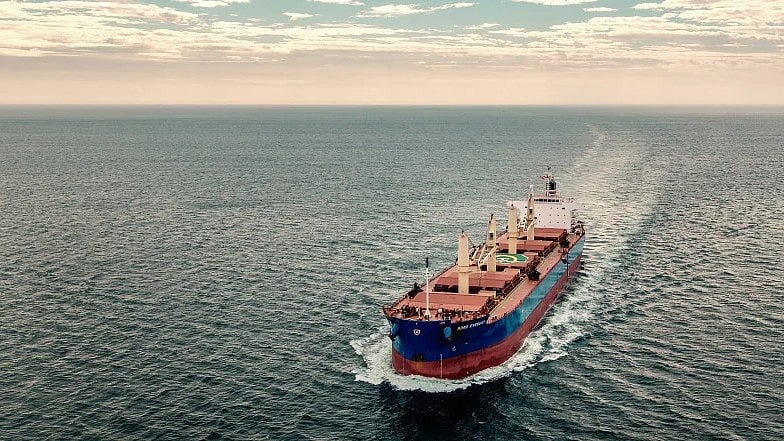 Baltic index hits two-week high on Capesize and Panamax surge